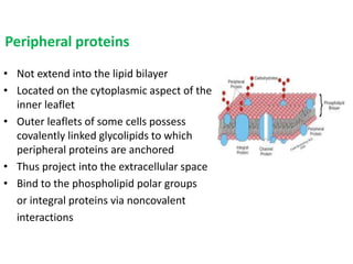 Cell & Homeostasis | PPTX