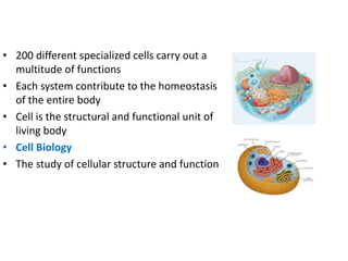 Cell & Homeostasis | PPTX