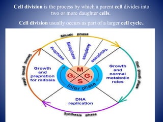 CELL ,ITS CONSTITUENTS,TISSUES ,ORGANISATION ,TRANSPORT ACROSS CELL | PPTX