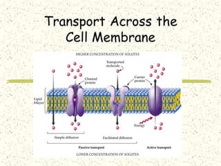 CELL ,ITS CONSTITUENTS,TISSUES ,ORGANISATION ,TRANSPORT ACROSS CELL | PPT
