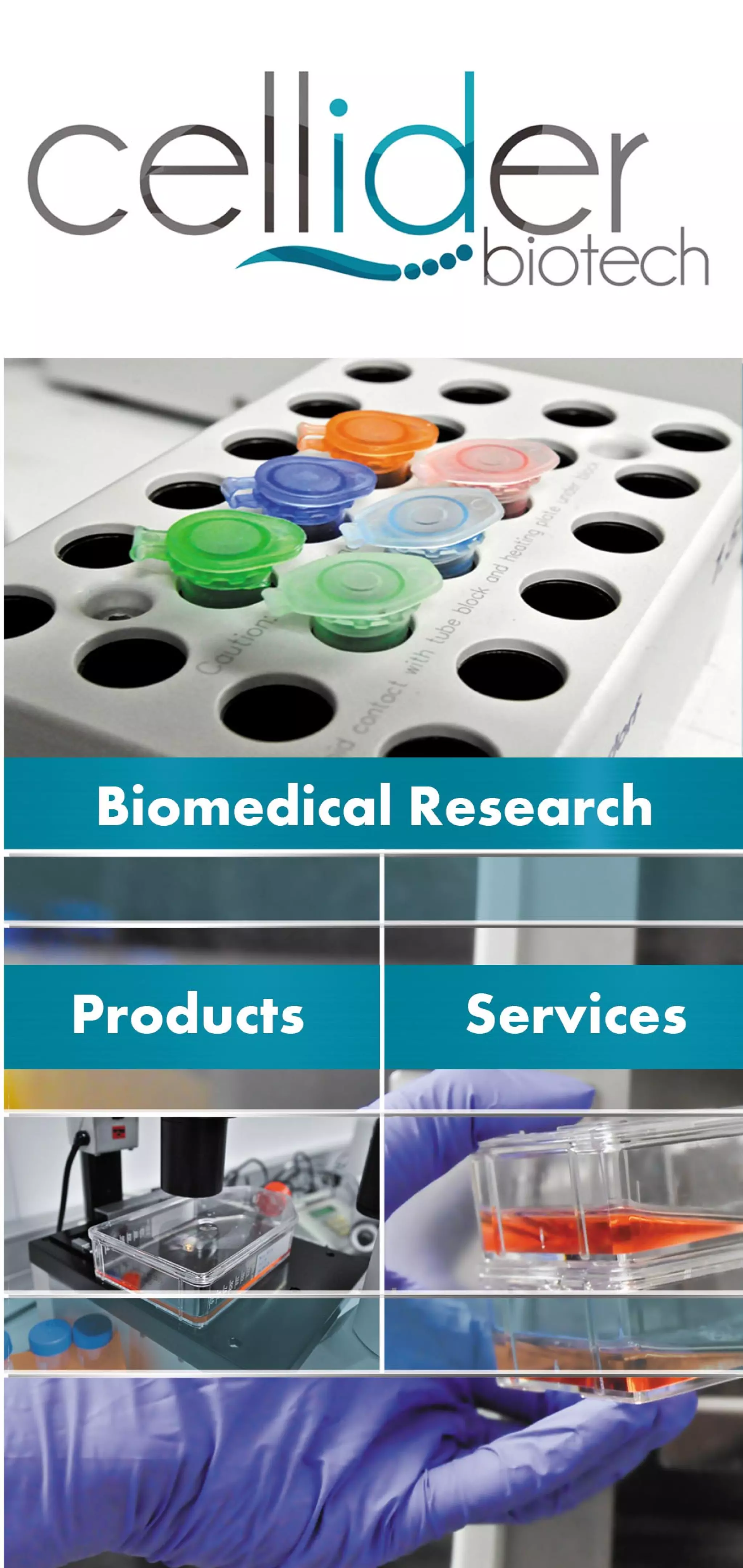 Cellider Biotech Brochure | PDF