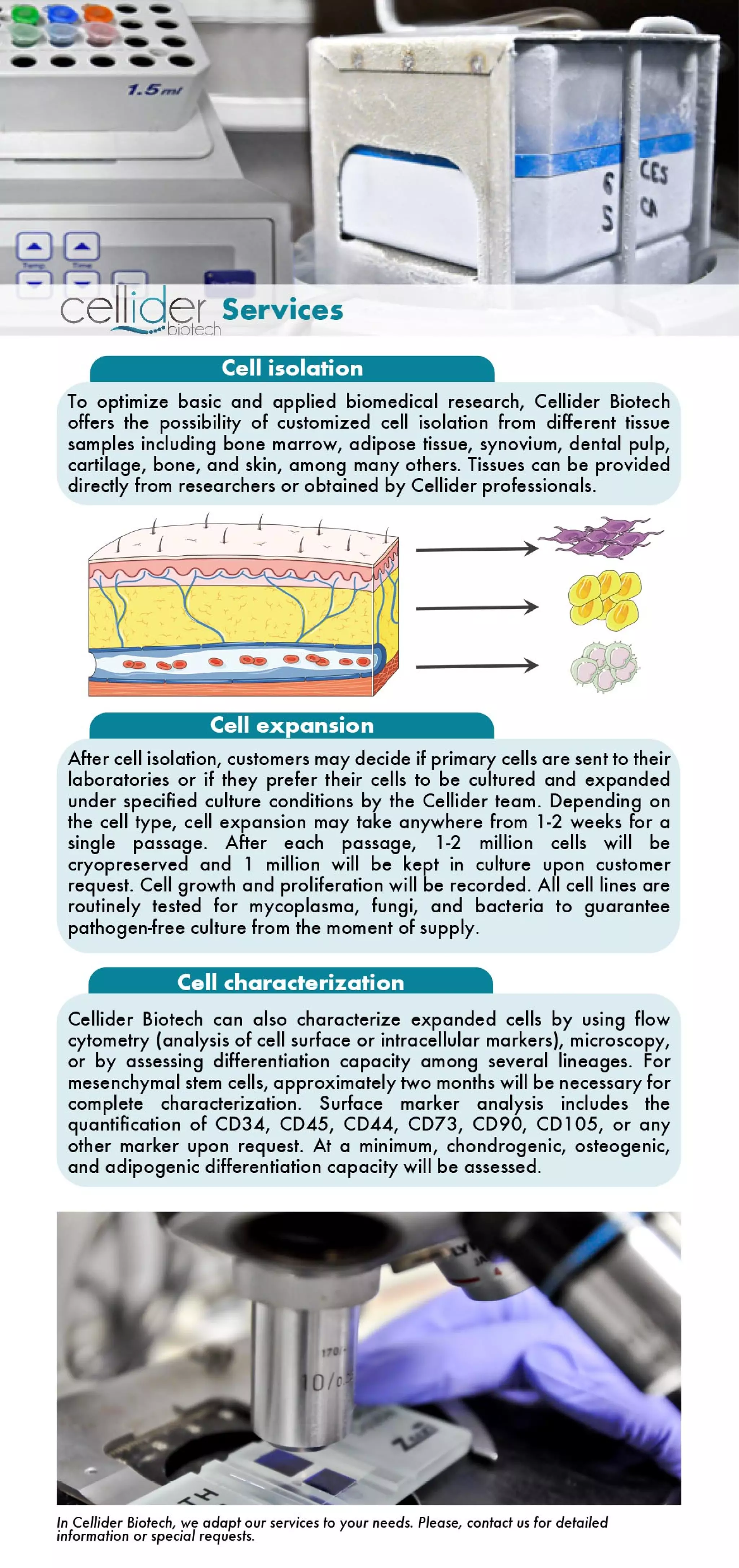 Cellider Biotech Brochure | PDF