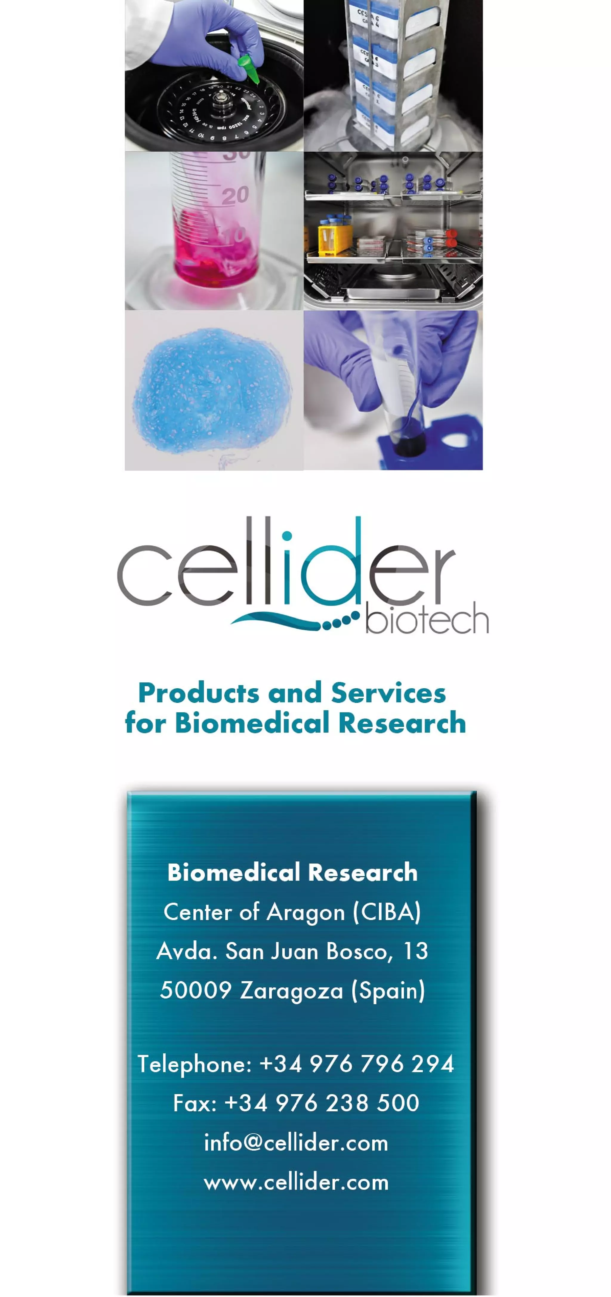 Cellider Biotech Brochure | PDF