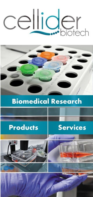 Cellider Biotech Brochure | PDF