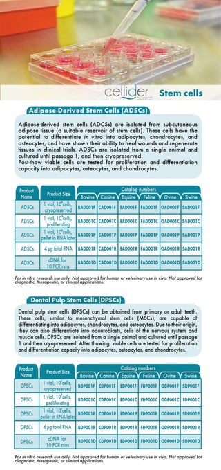 Cellider Biotech Brochure | PDF