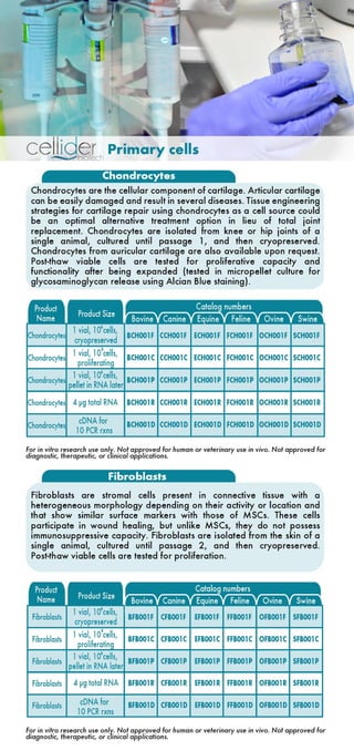 Cellider Biotech Brochure | PDF