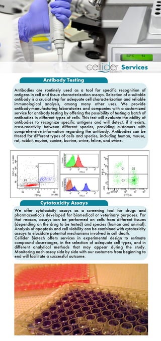 Cellider Biotech Brochure | PDF