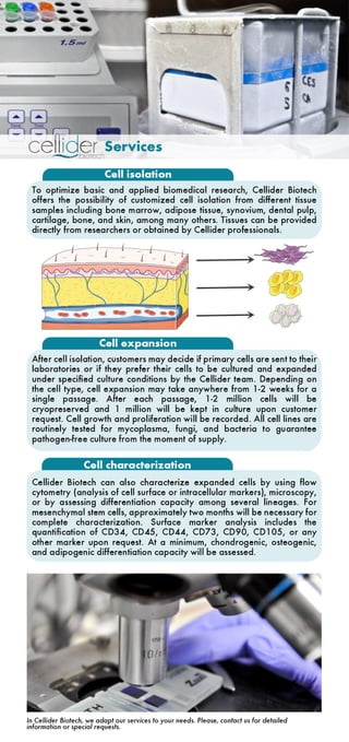Cellider Biotech Brochure | PDF