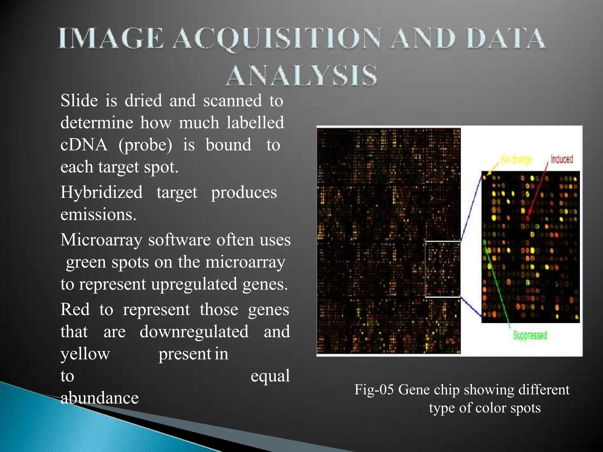 Cell Imaging Techniques Detailed Presentation Pptx