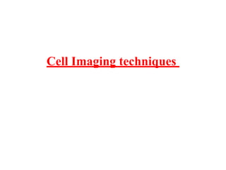 Cell imaging techniques detailed presentation | PPTX