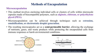 Cell Immobilization Methods and Applications.pptx