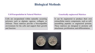 Cell Immobilization Methods and Applications.pptx