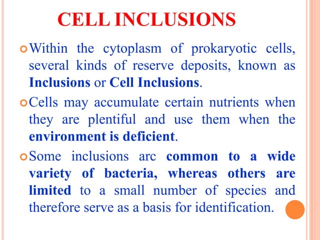 Cell inclusions | PPTX | Chemistry | Science