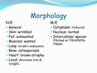Cell inj 1.pdf | Endocrine and Metabolic Diseases | Diseases and Conditions