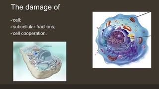 Cell injury-1.ppt