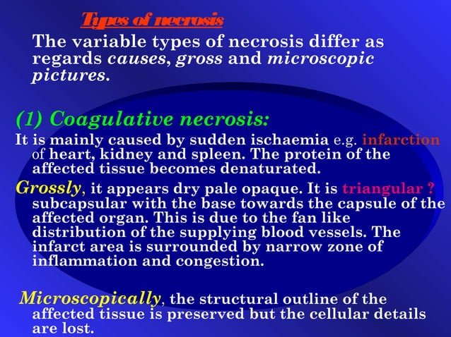 Cell injury-necrosis | PPT | Blood Disorders | Diseases and Conditions