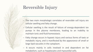 Bio 134 Pathology: Cell injury | PPT