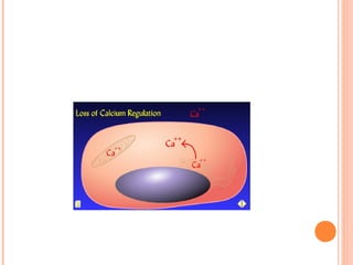 Cell injury | PPT