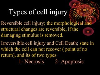Cell injury | PPT
