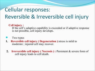 Cell injury | PPT