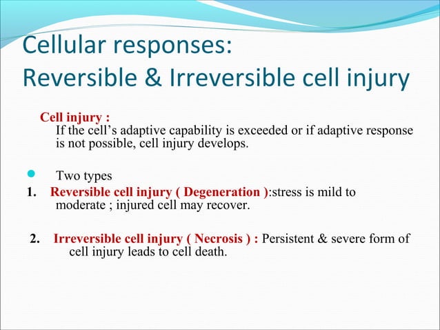 Cell injury | PPT