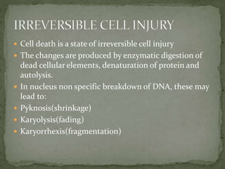 Cell injury | PPT