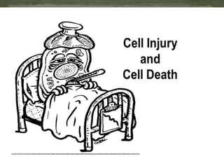 Cell injury | PPTX