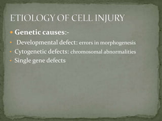 Cell injury | PPT