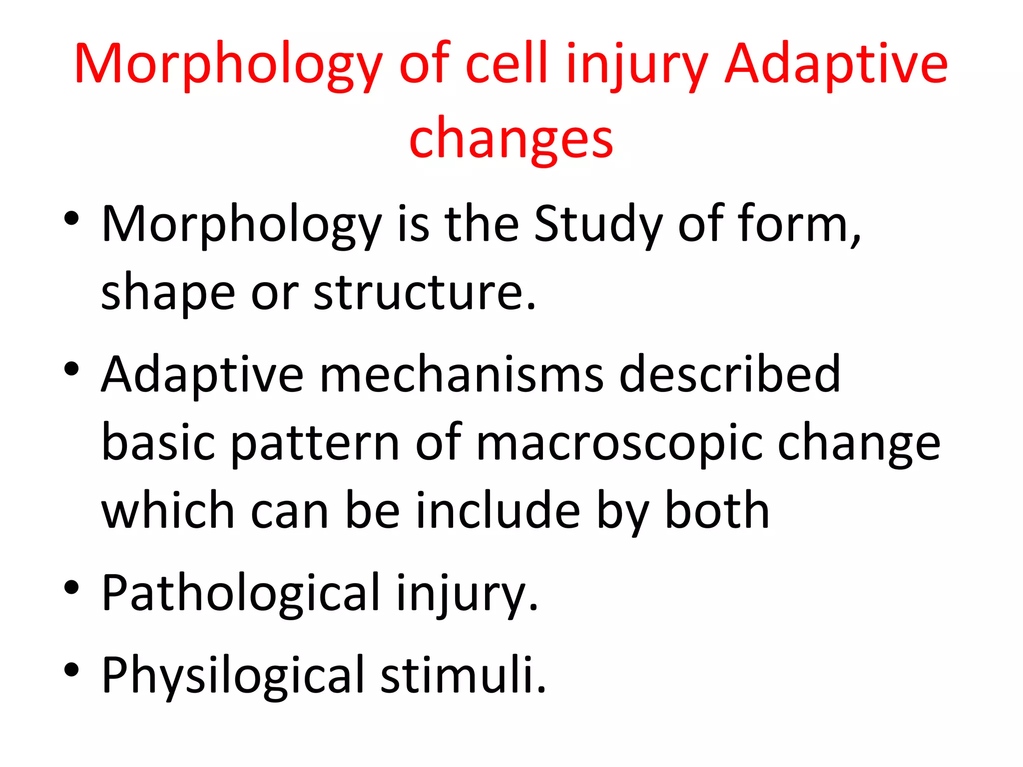 Cell injury-morphology | PPT