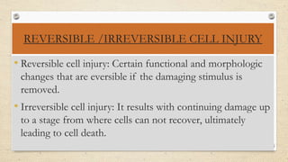 Cell injury | PPTX