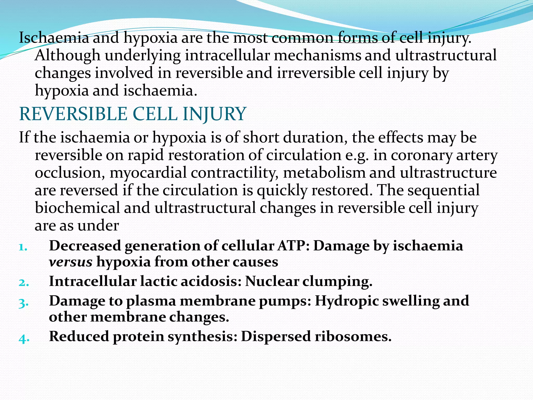 Cell injury, Etiology, Pathogenesis, & Morphology of cell Injury | PPTX
