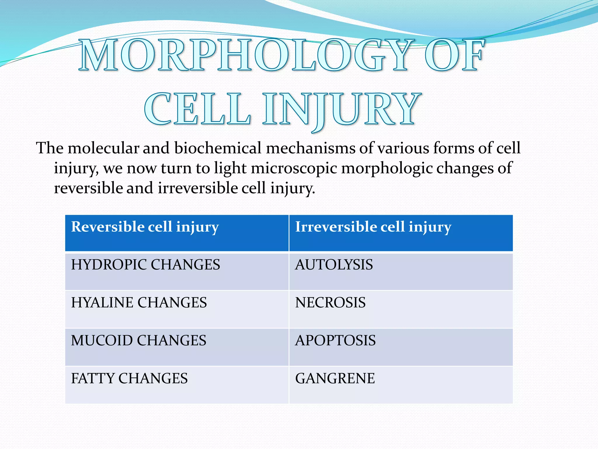 Cell injury, Etiology, Pathogenesis, & Morphology of cell Injury | PPTX