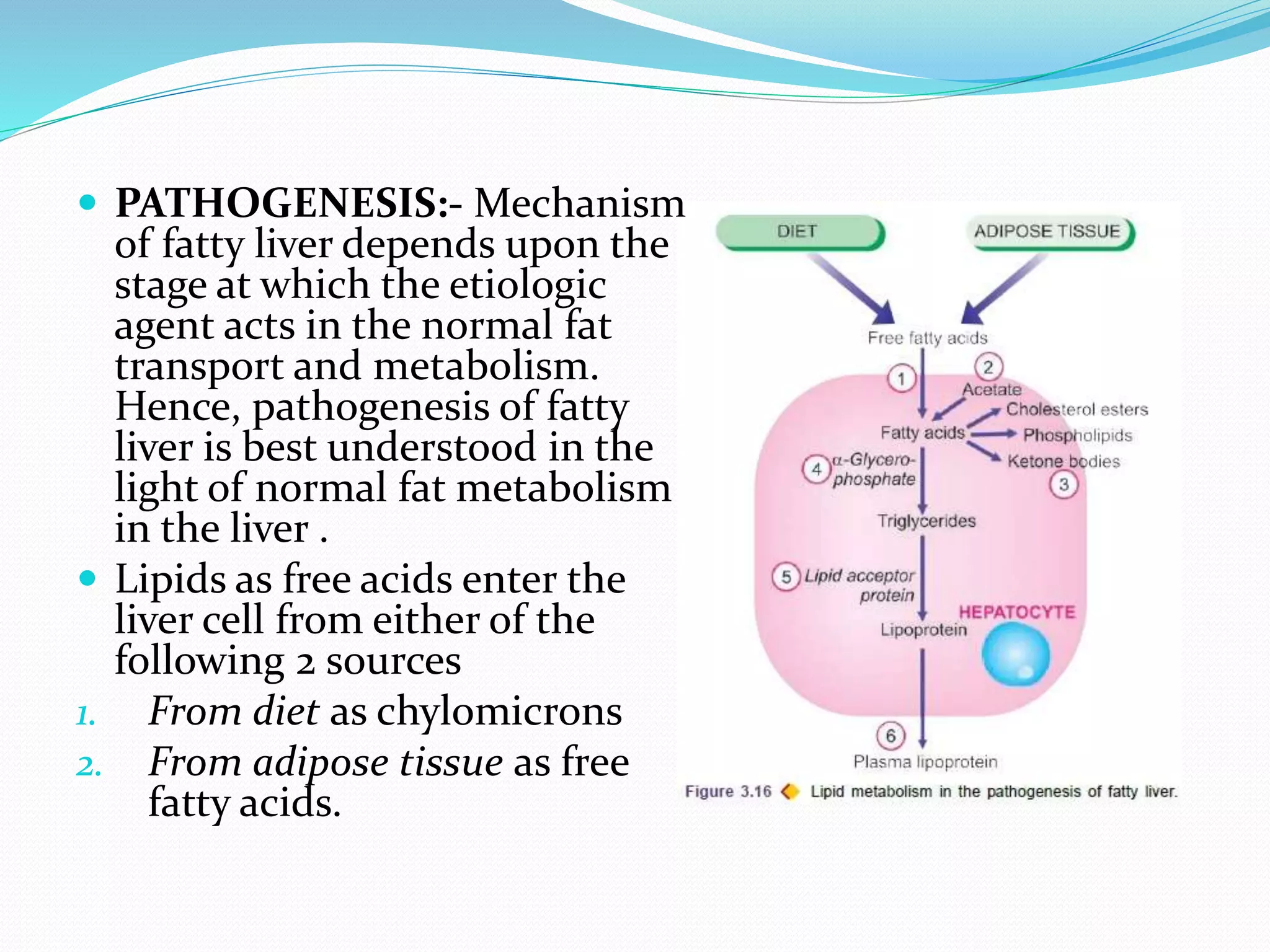 Cell injury, Etiology, Pathogenesis, & Morphology of cell Injury | PPTX