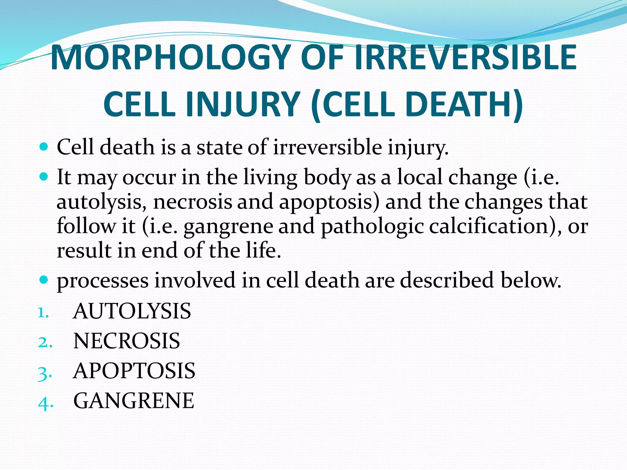 Cell injury, Etiology, Pathogenesis, & Morphology of cell Injury | PPTX