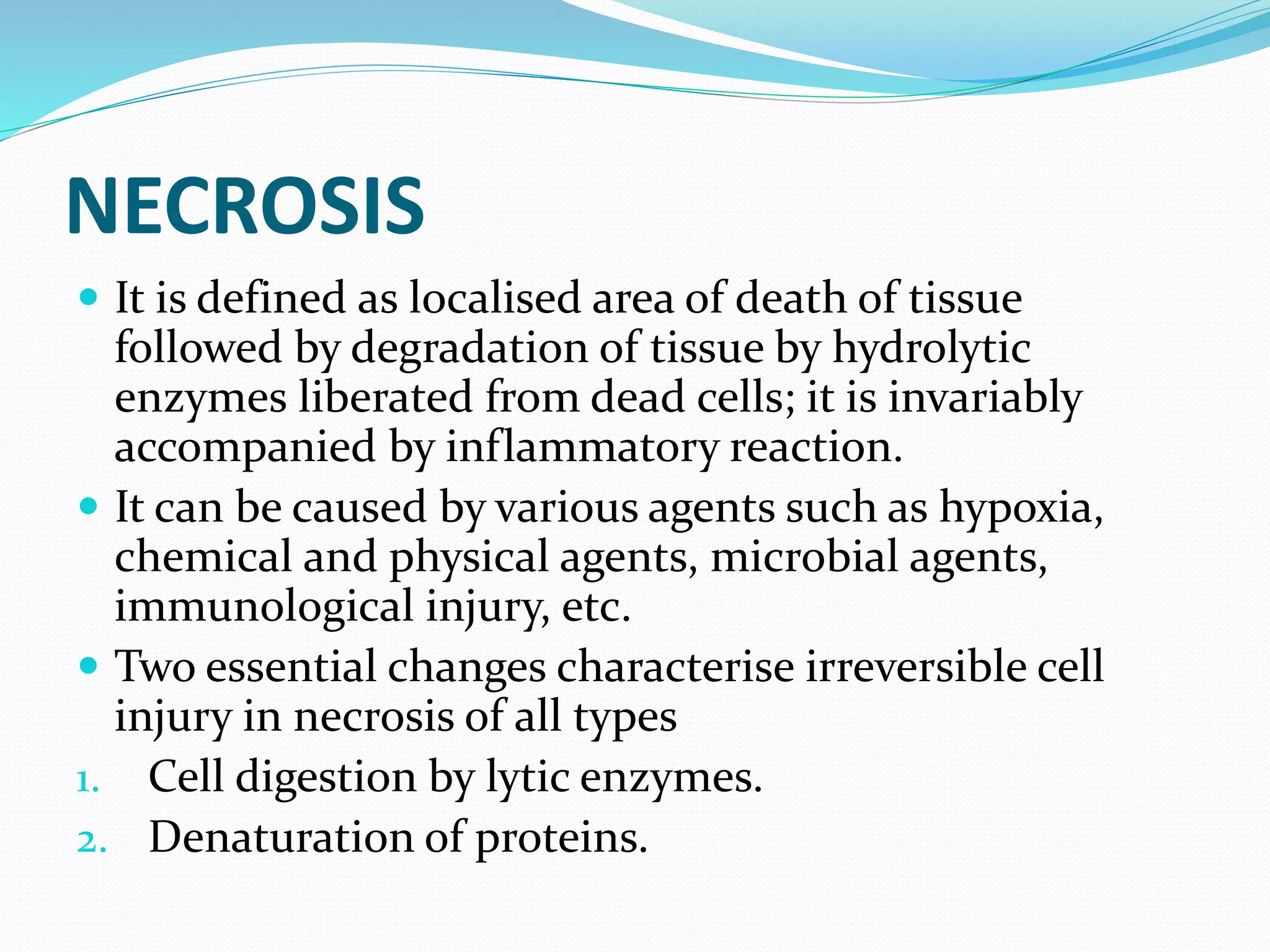 Cell injury, Etiology, Pathogenesis, & Morphology of cell Injury | PPTX