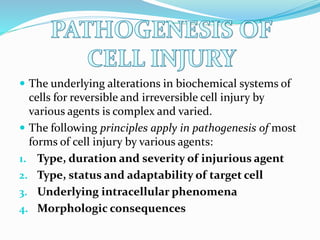 Cell injury, Etiology, Pathogenesis, & Morphology of cell Injury | PPTX
