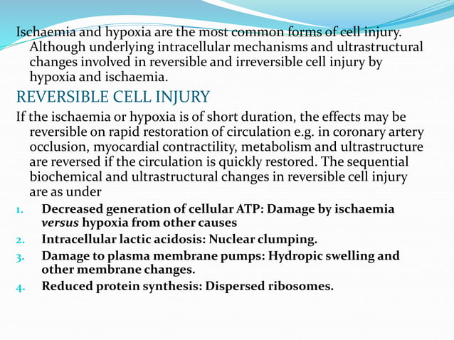 Cell injury, Etiology, Pathogenesis, & Morphology of cell Injury | PPTX