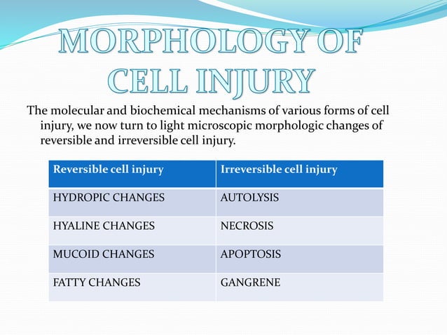 Cell injury, Etiology, Pathogenesis, & Morphology of cell Injury | PPTX