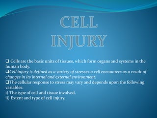 Cell injury, Etiology, Pathogenesis, & Morphology of cell Injury | PPTX