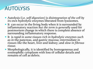 Cell injury, Etiology, Pathogenesis, & Morphology of cell Injury | PPTX