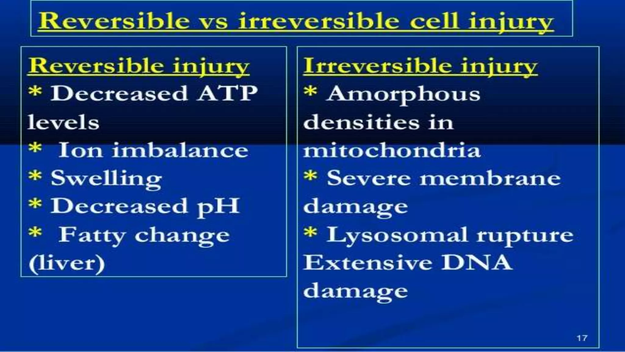 Cell injury | PPT