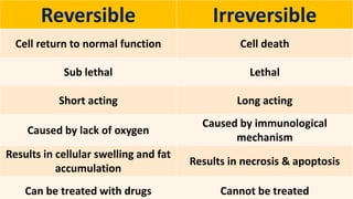 Cell injury | PPT
