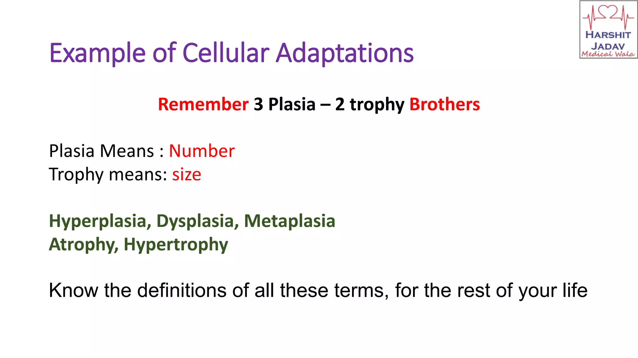 Cell injury and Cellular Adaptation: Pathology | PPTX