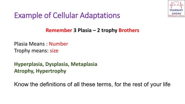 Cell injury and Cellular Adaptation: Pathology | PPTX | Biological ...