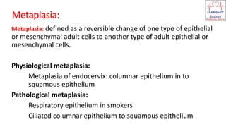 Cell injury and Cellular Adaptation: Pathology | PPTX | Biological ...