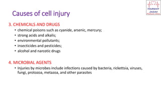 Cell injury and Cellular Adaptation: Pathology | PPTX