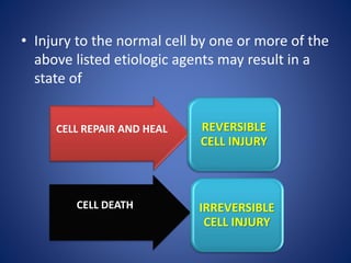 Cell injury | PPTX