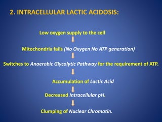 Cell injury | PPTX