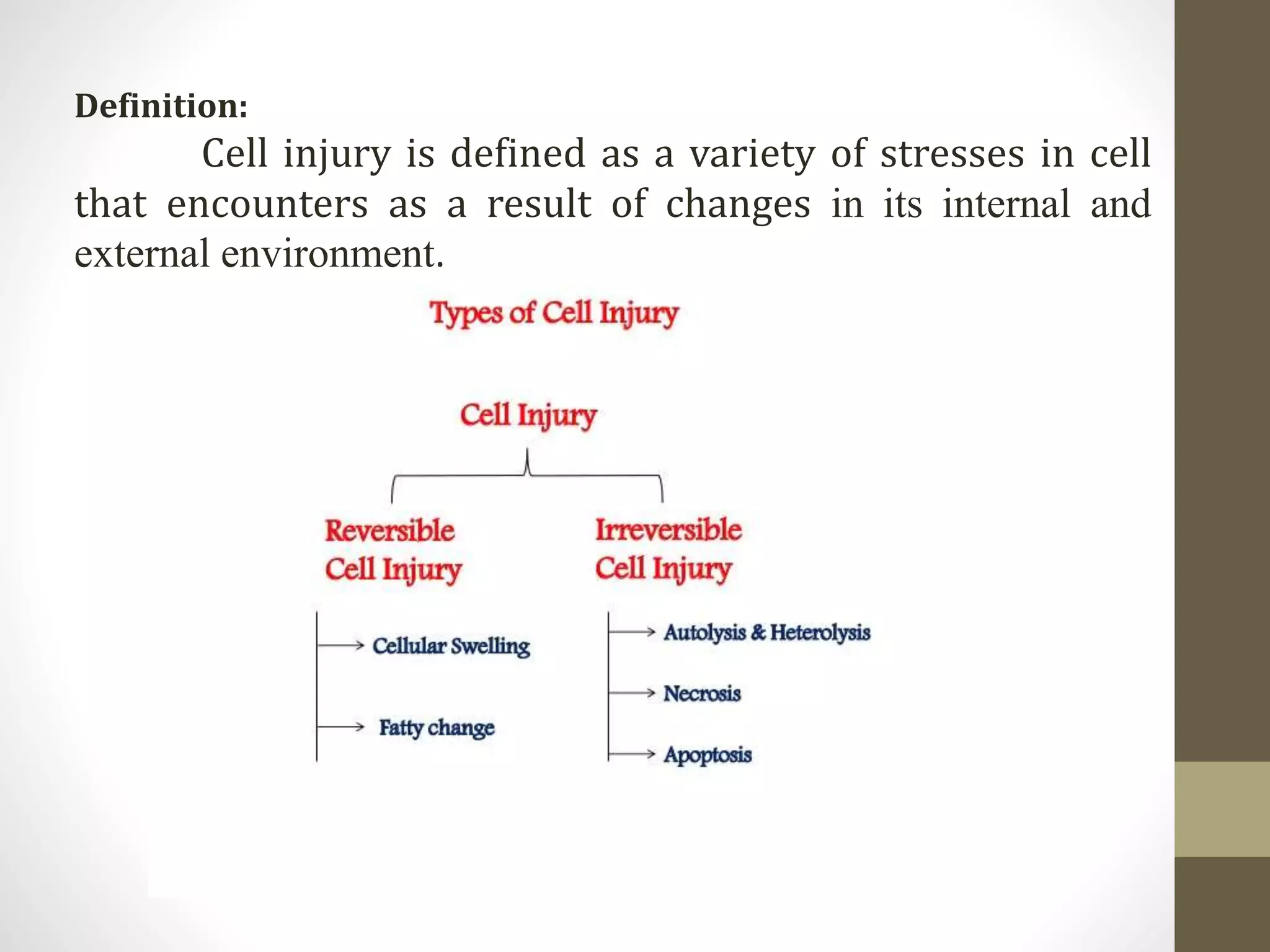 Basic principles of Cell injury and Adaptation | PPTX