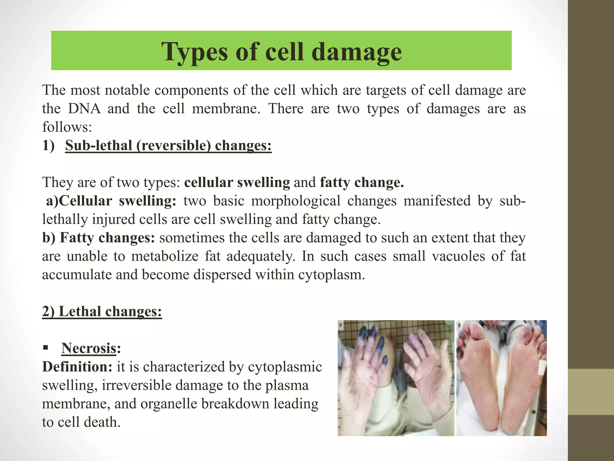 Basic principles of Cell injury and Adaptation | PPTX